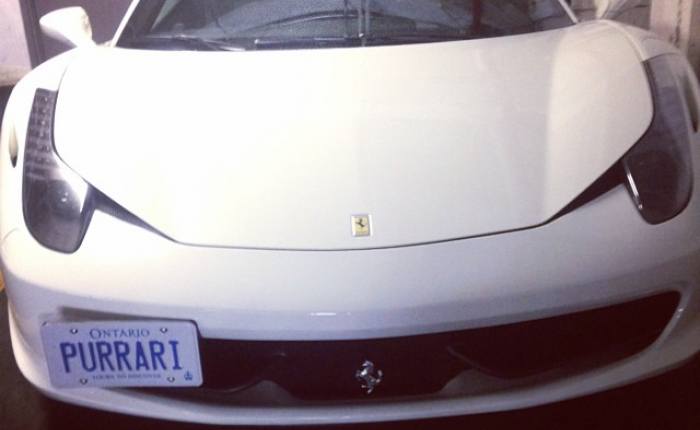 Purrari: Ferrari 458 Spider by Deadmau5 | Drive